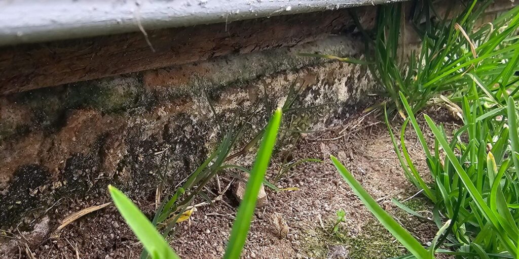 Advanced Moisture Detection | Property Inspections Plus